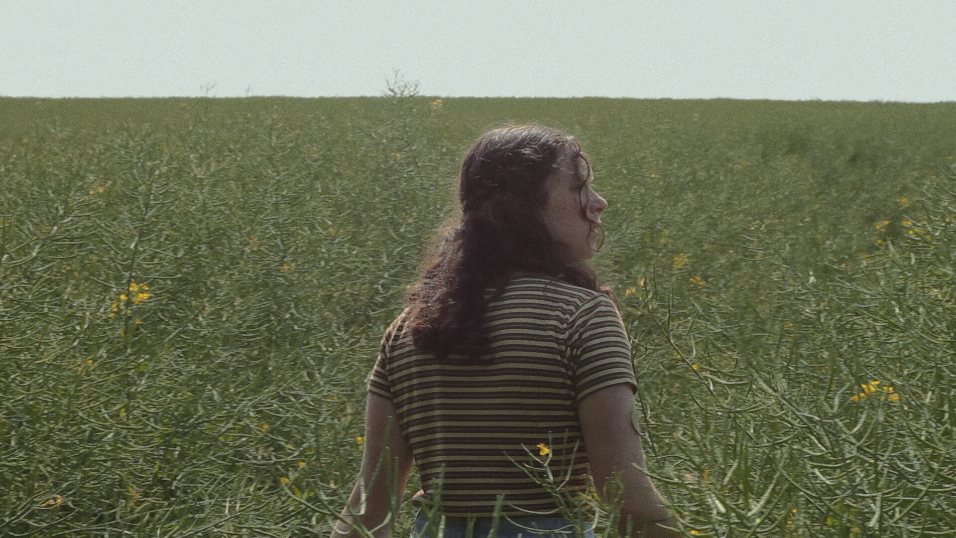 Finding Frank - FilmFreeway