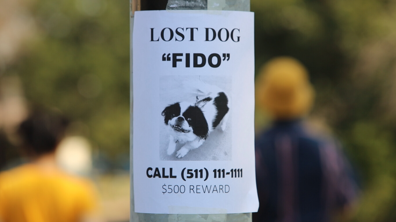 Find That Fido - FilmFreeway