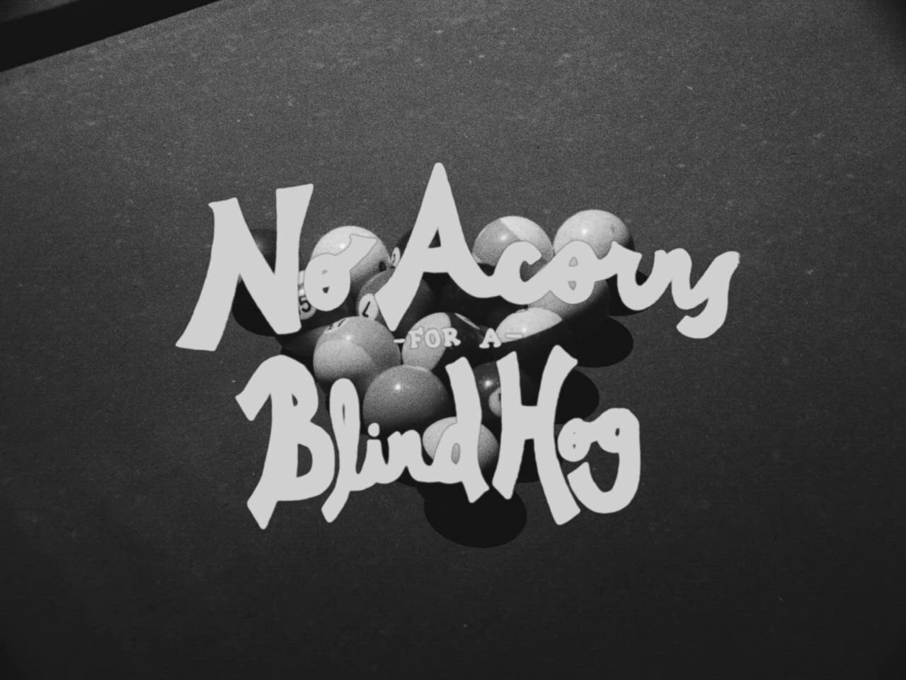 No Acorns for a Blind Hog - FilmFreeway