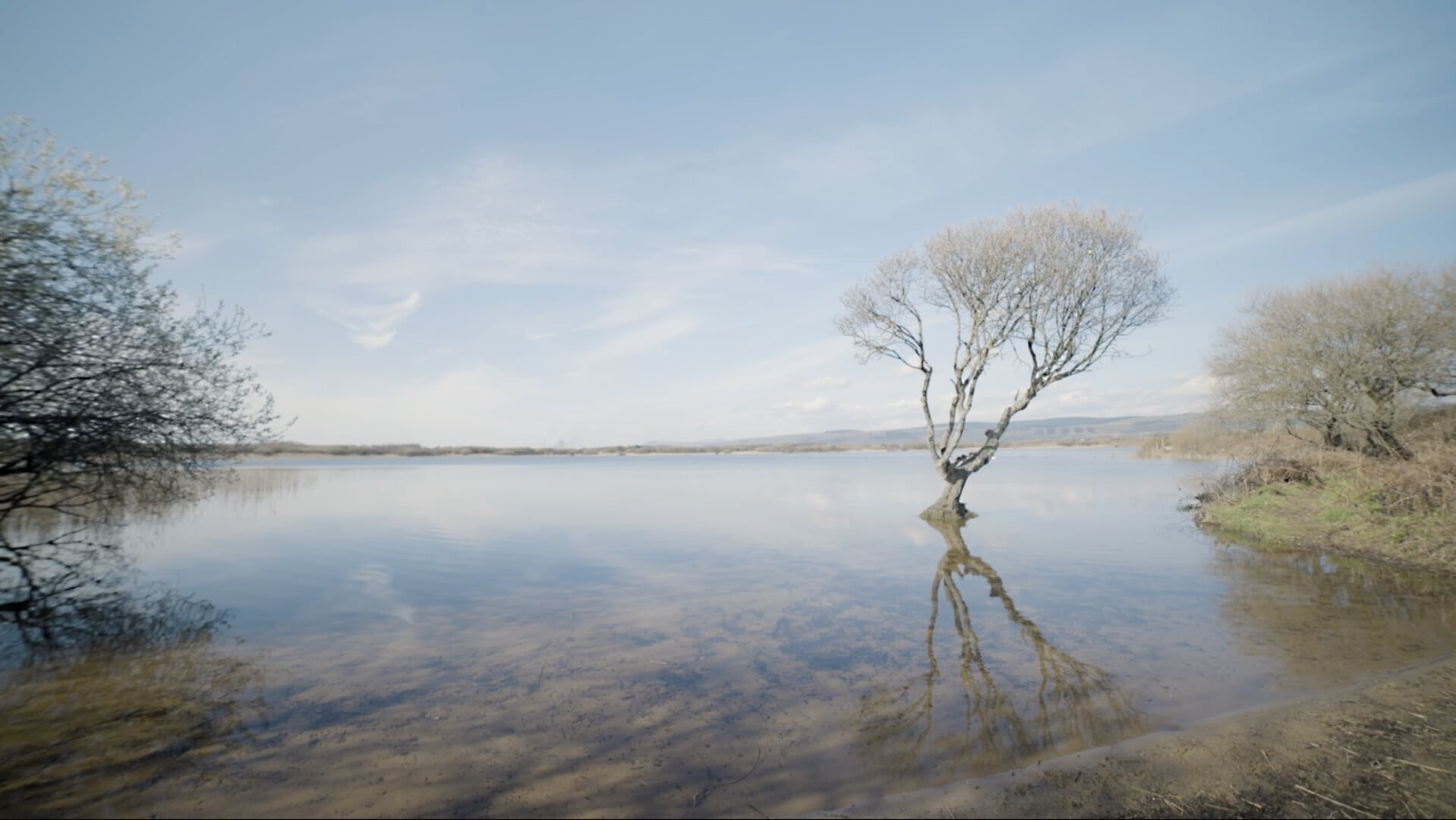 The River Cannot Go Back - FilmFreeway