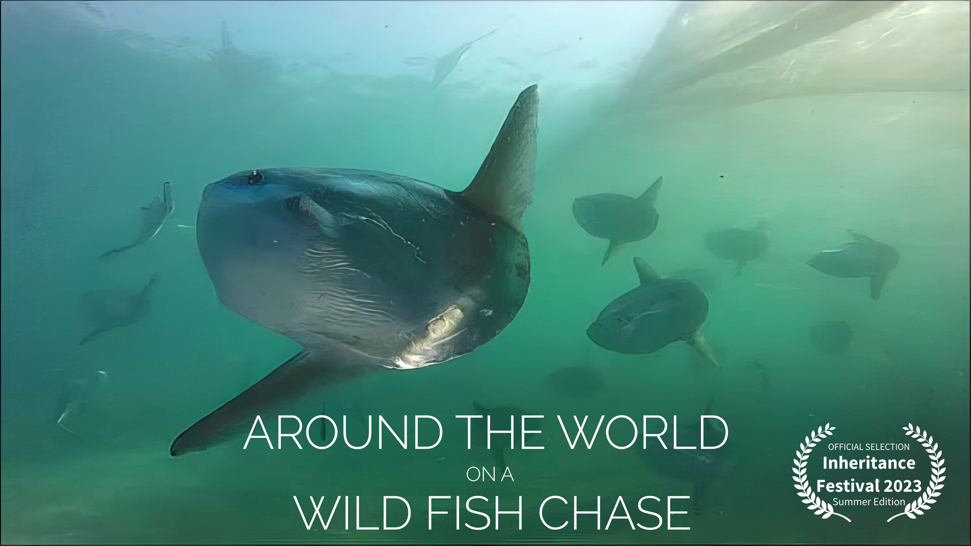 Around the World on a Wild Fish Chase - FilmFreeway