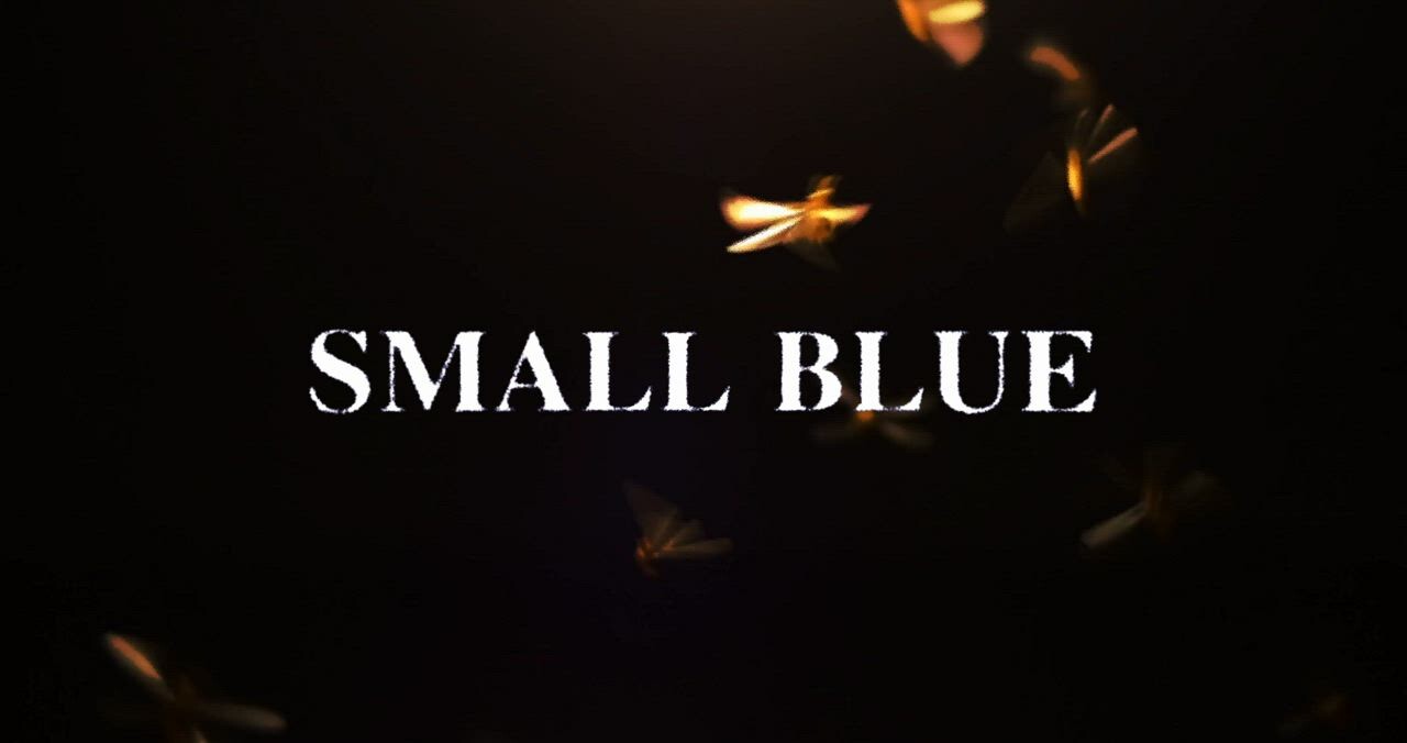 Small Blue - FilmFreeway