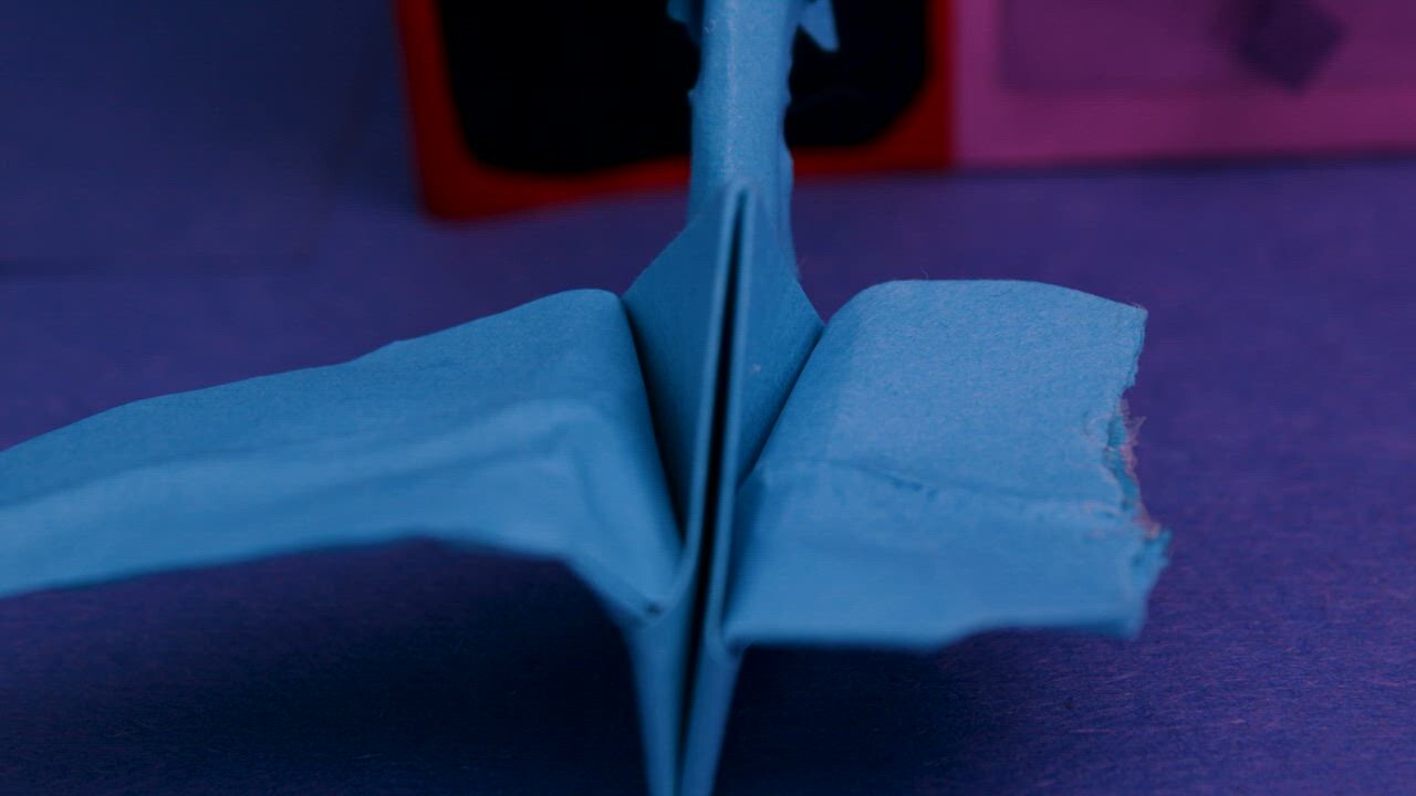 A Swan Story - FilmFreeway