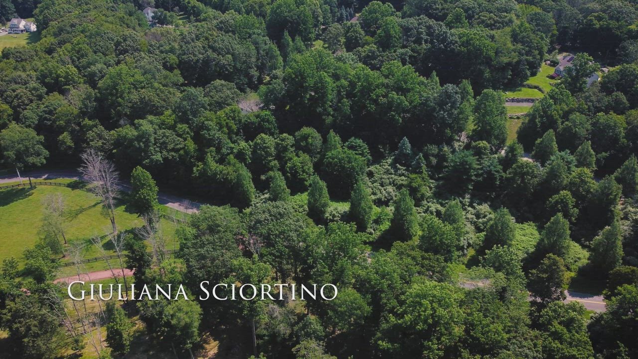 Mailbox - FilmFreeway