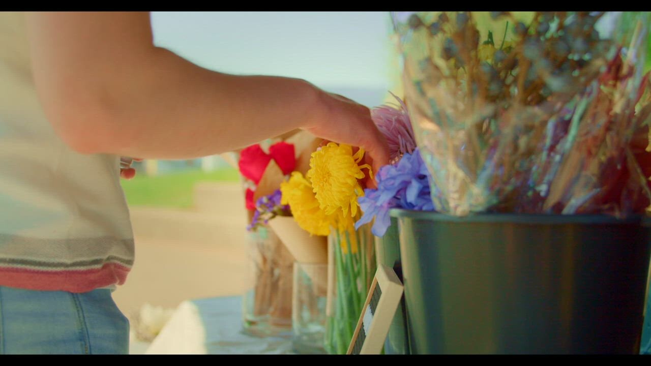 Pollen for You - FilmFreeway