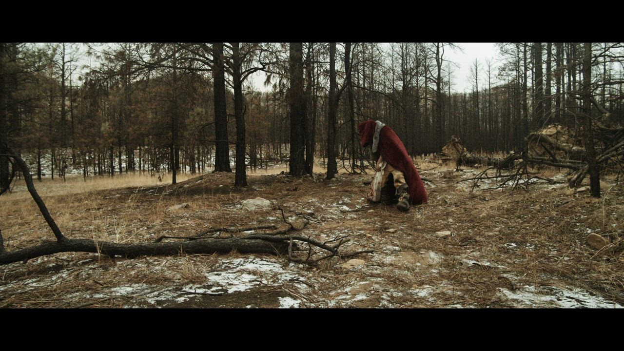 The Vulture - FilmFreeway