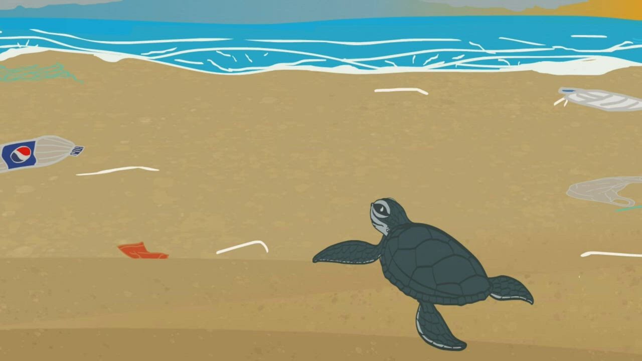 Story of a Baby Sea Turtle - FilmFreeway