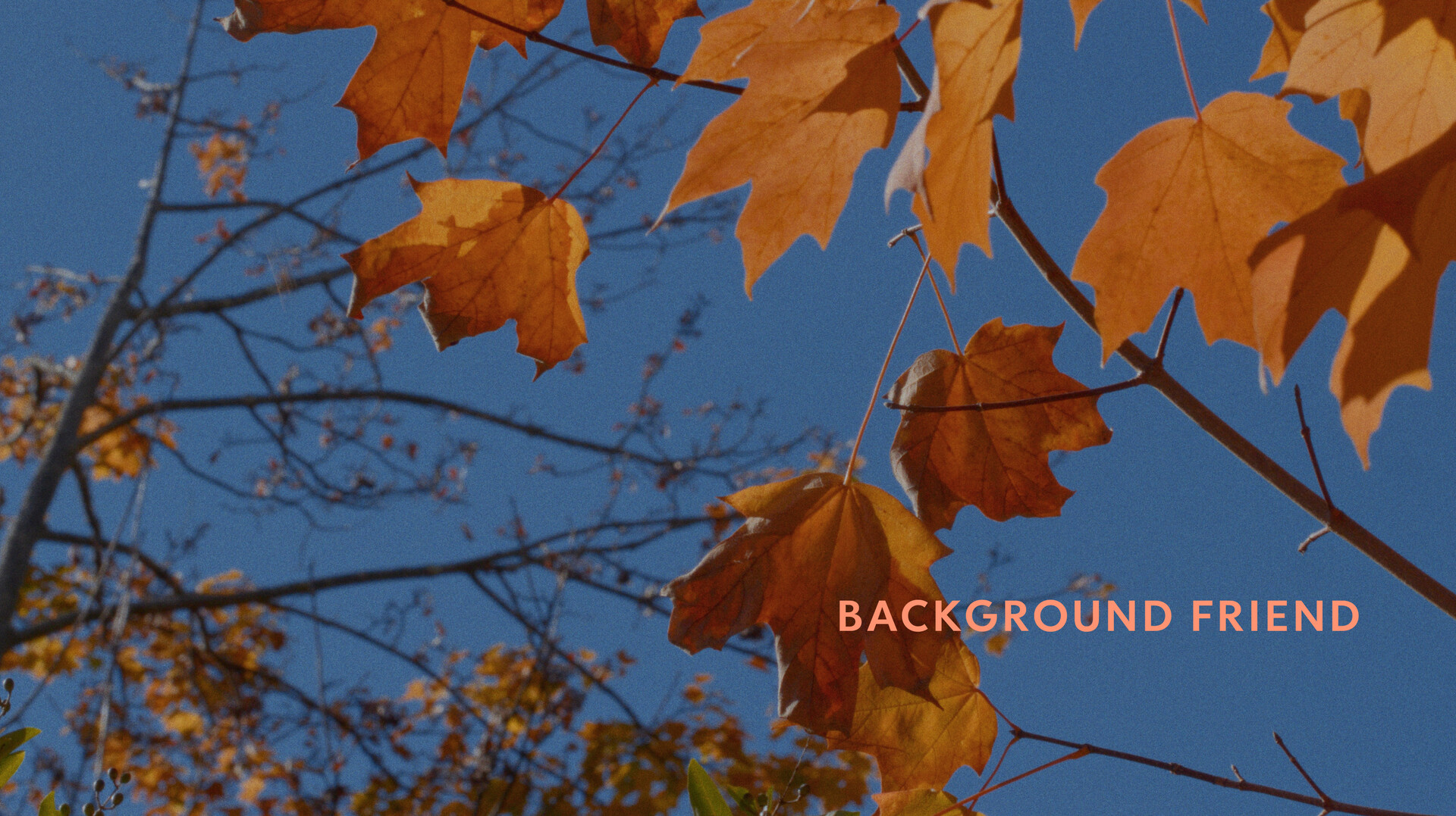 Background Friend - FilmFreeway