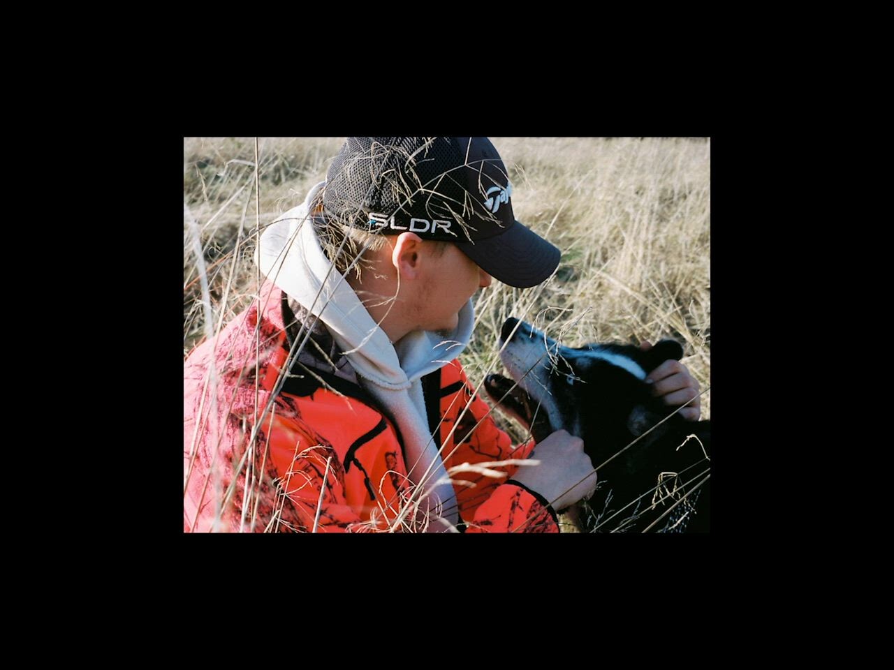 Sabertooth - FilmFreeway