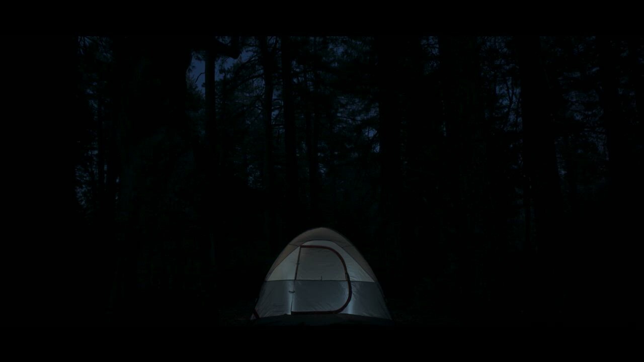 Bear With Me - FilmFreeway