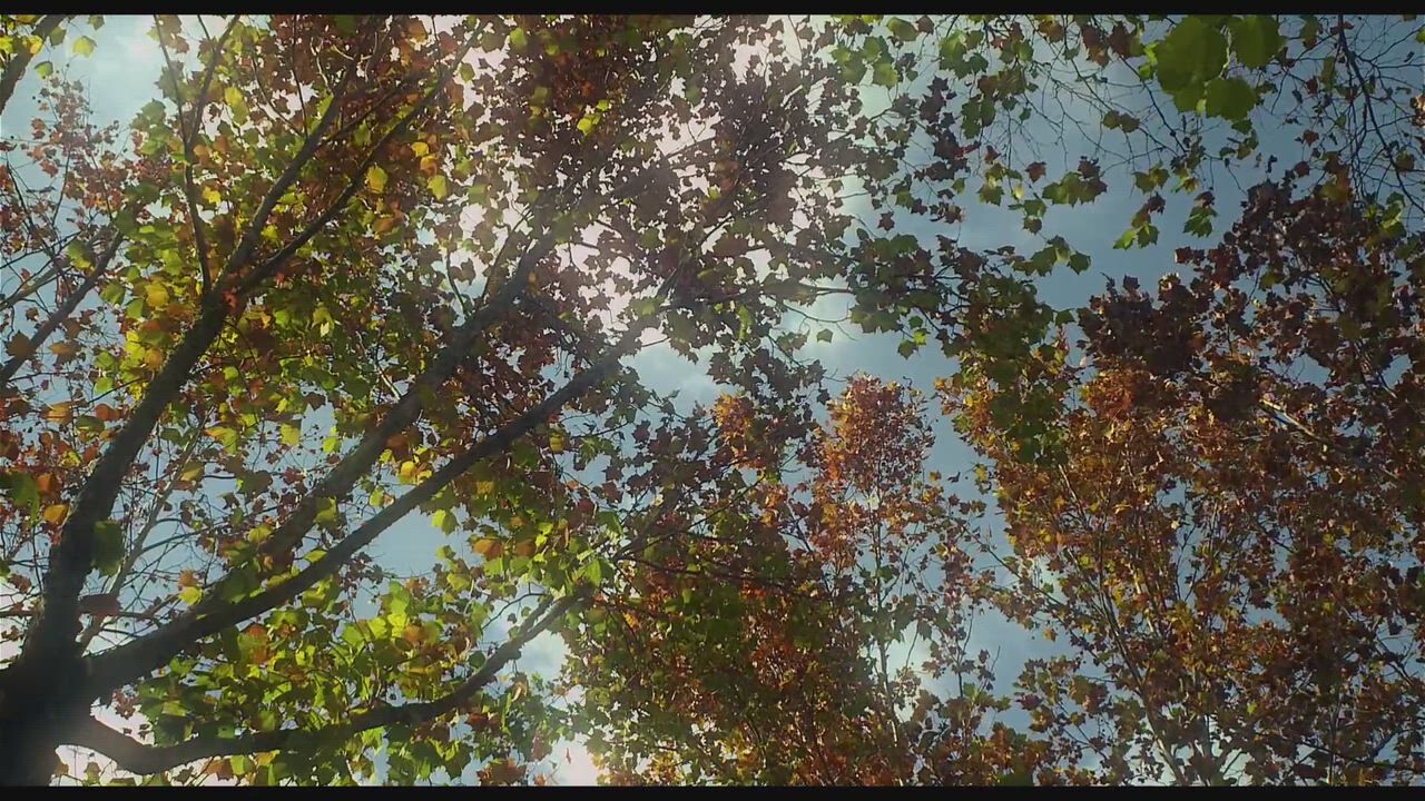 Hae-sook - FilmFreeway