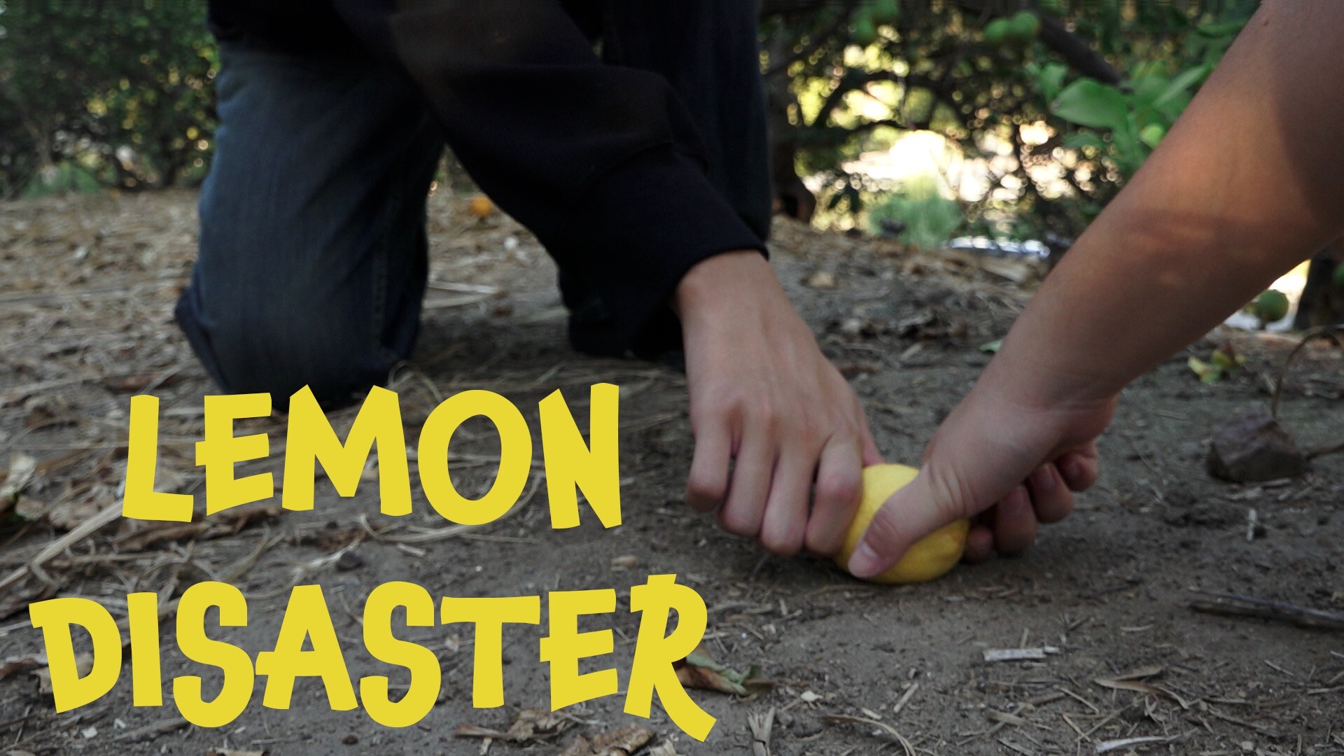 Lemon Disaster - FilmFreeway