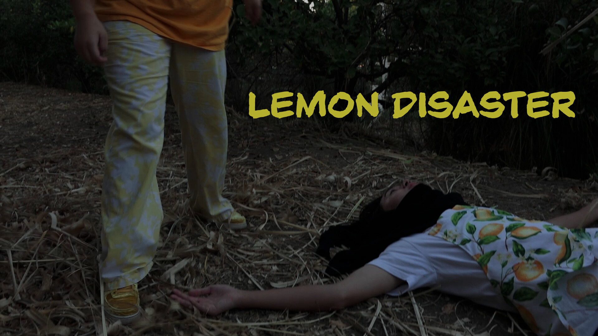 Lemon Disaster - FilmFreeway