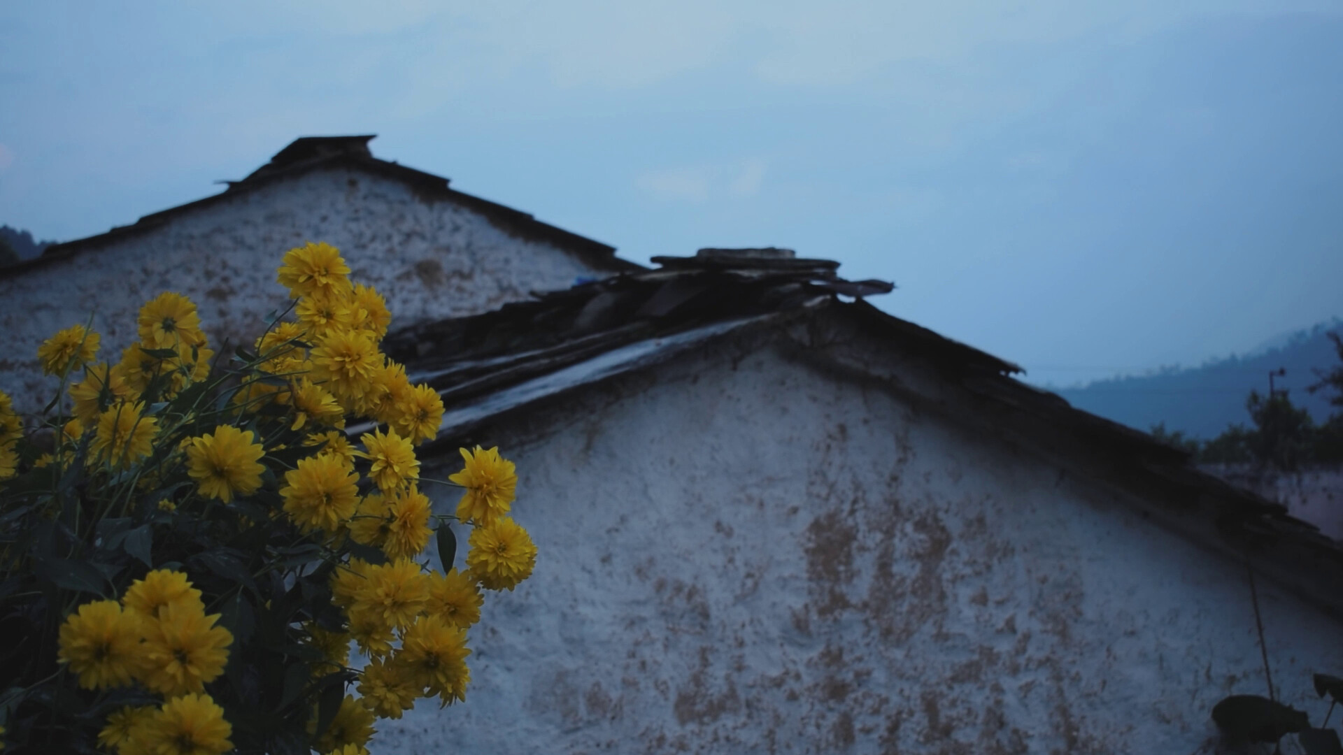 The Hidden Mist - FilmFreeway