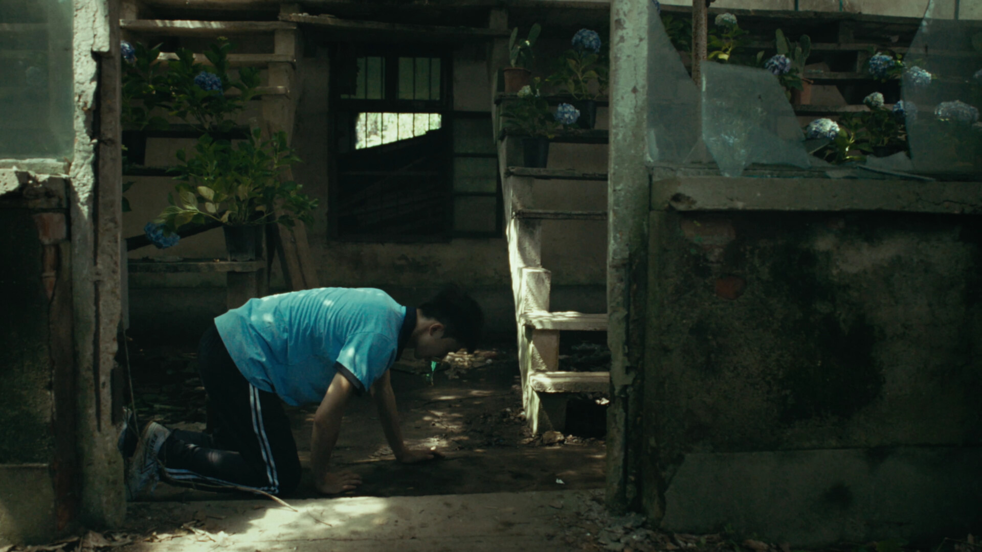 Howling City - FilmFreeway