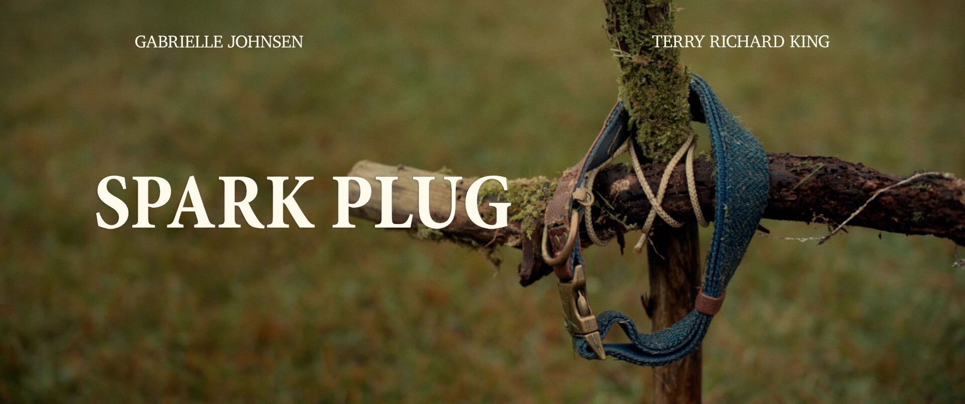 Spark Plug - FilmFreeway