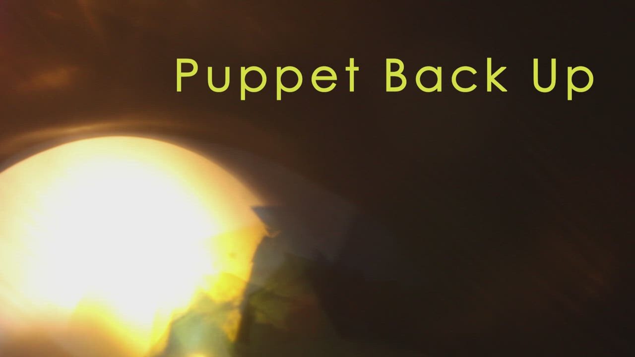 Puppet Back Up - FilmFreeway