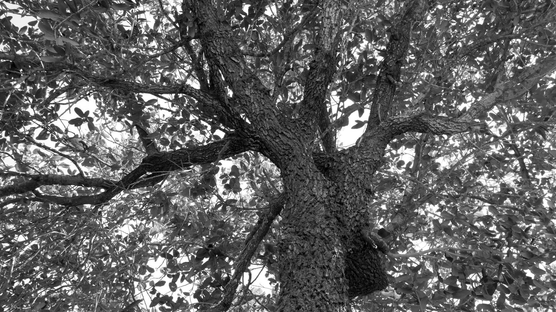 Modicum of Life - FilmFreeway