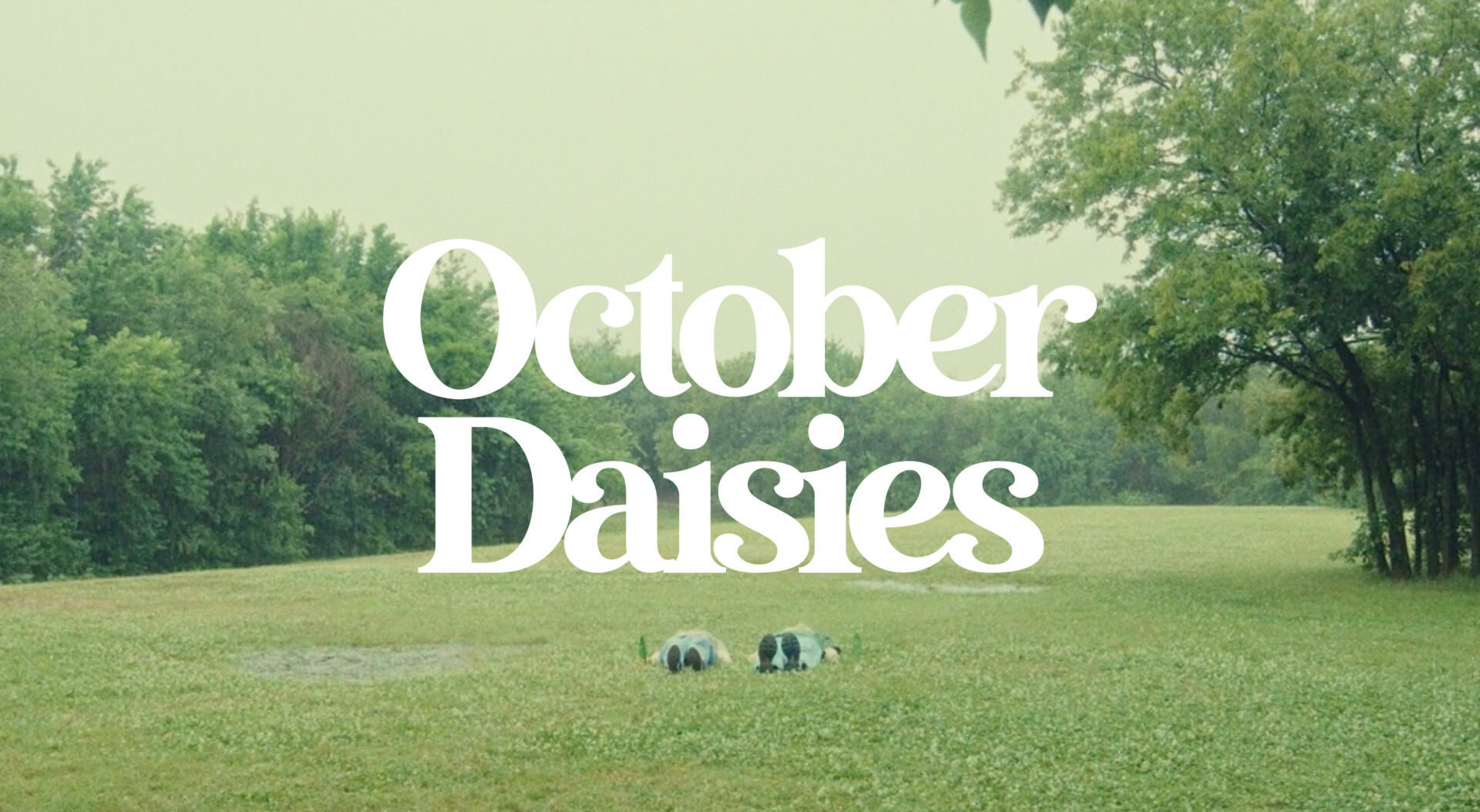 October Daisies - FilmFreeway