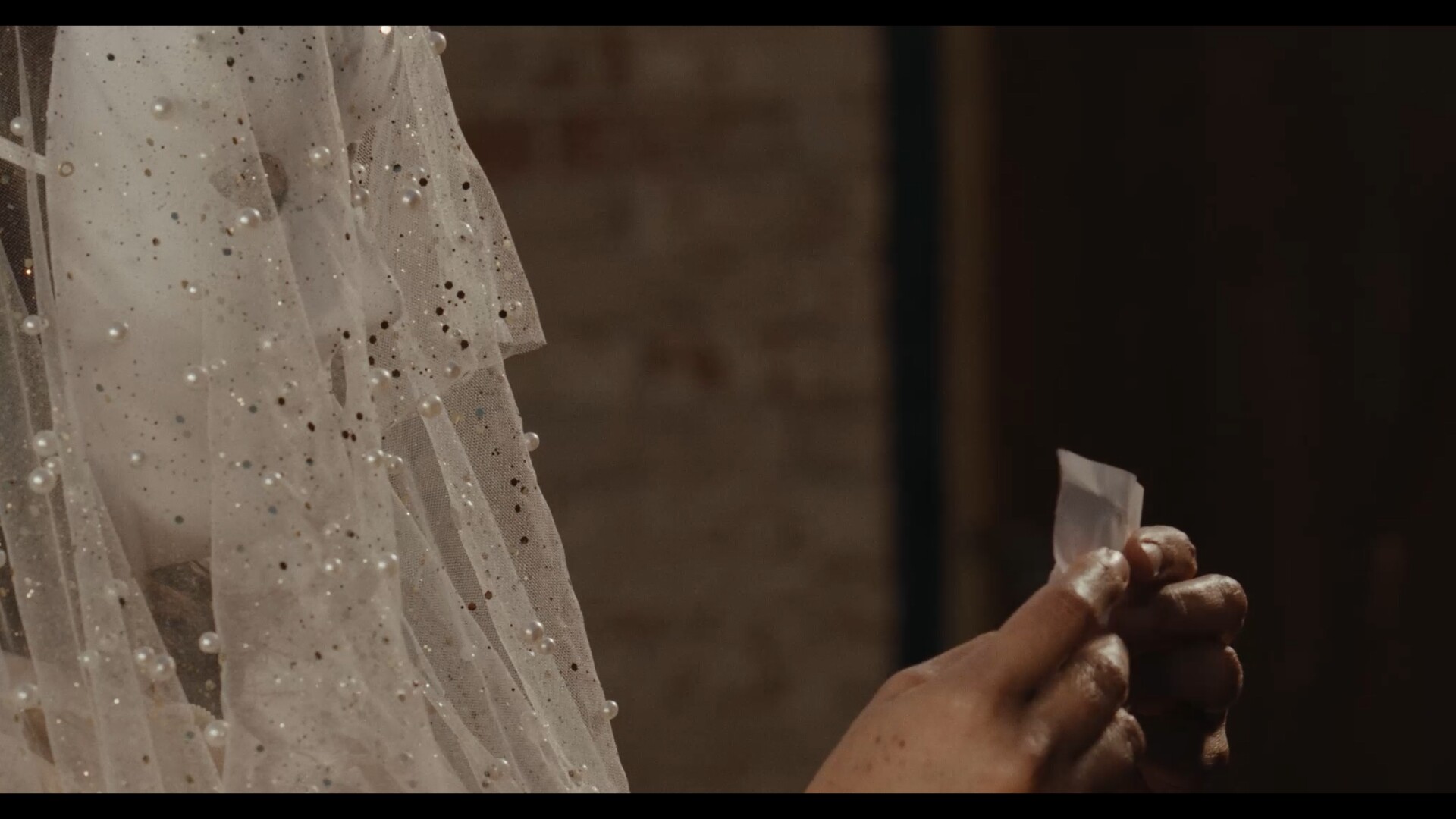 The Wild Onions - FilmFreeway