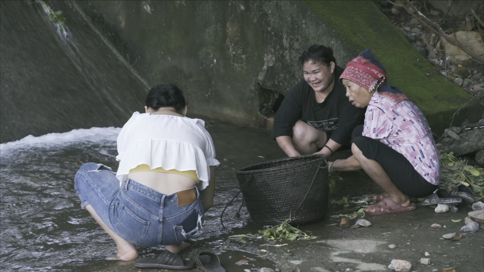 Uproot - FilmFreeway