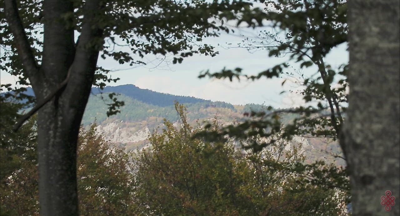 The voice of the heart - FilmFreeway