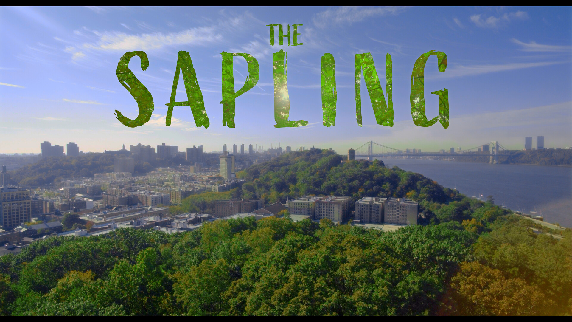 The Sapling - FilmFreeway