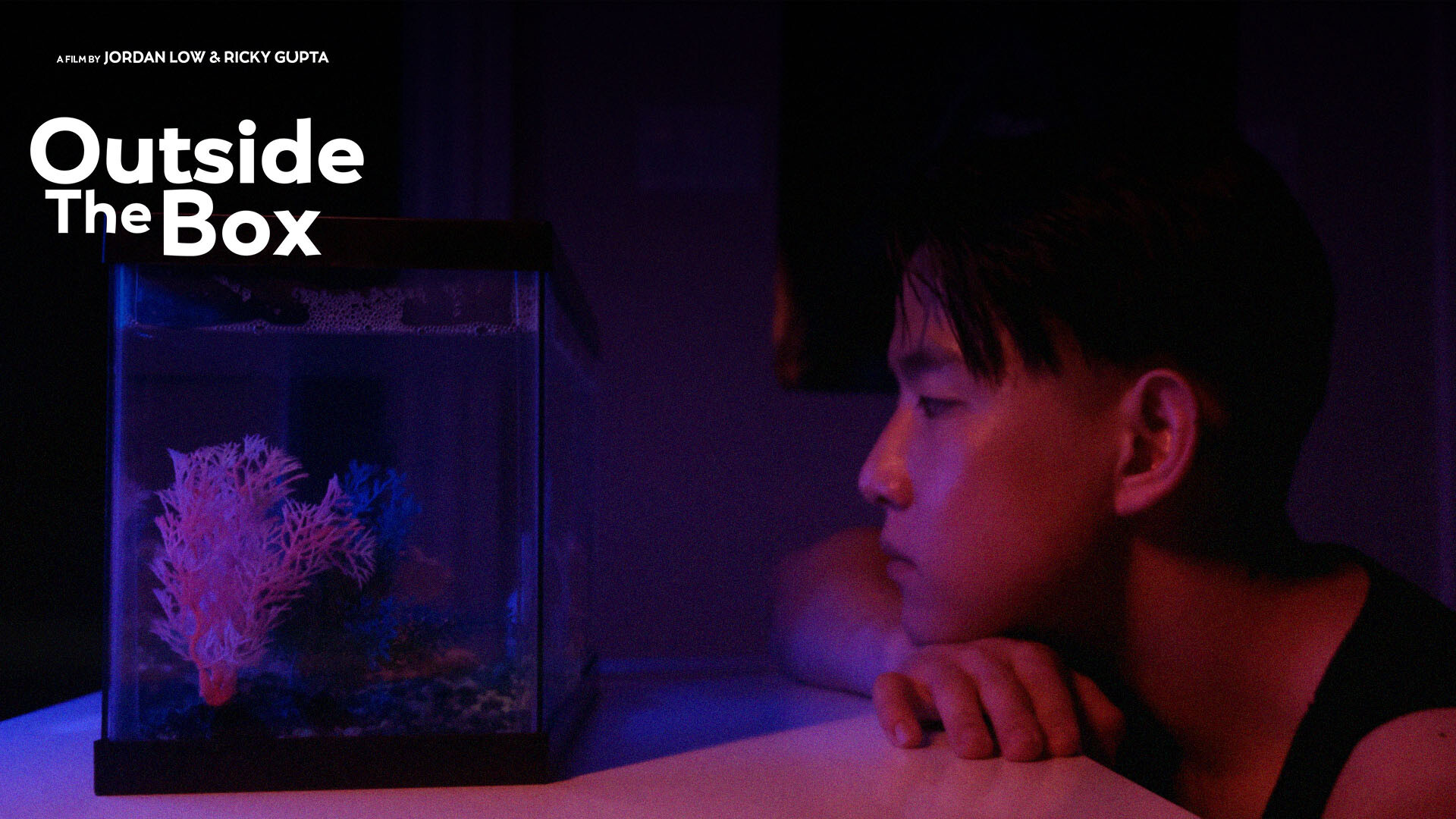 Outside The Box - FilmFreeway