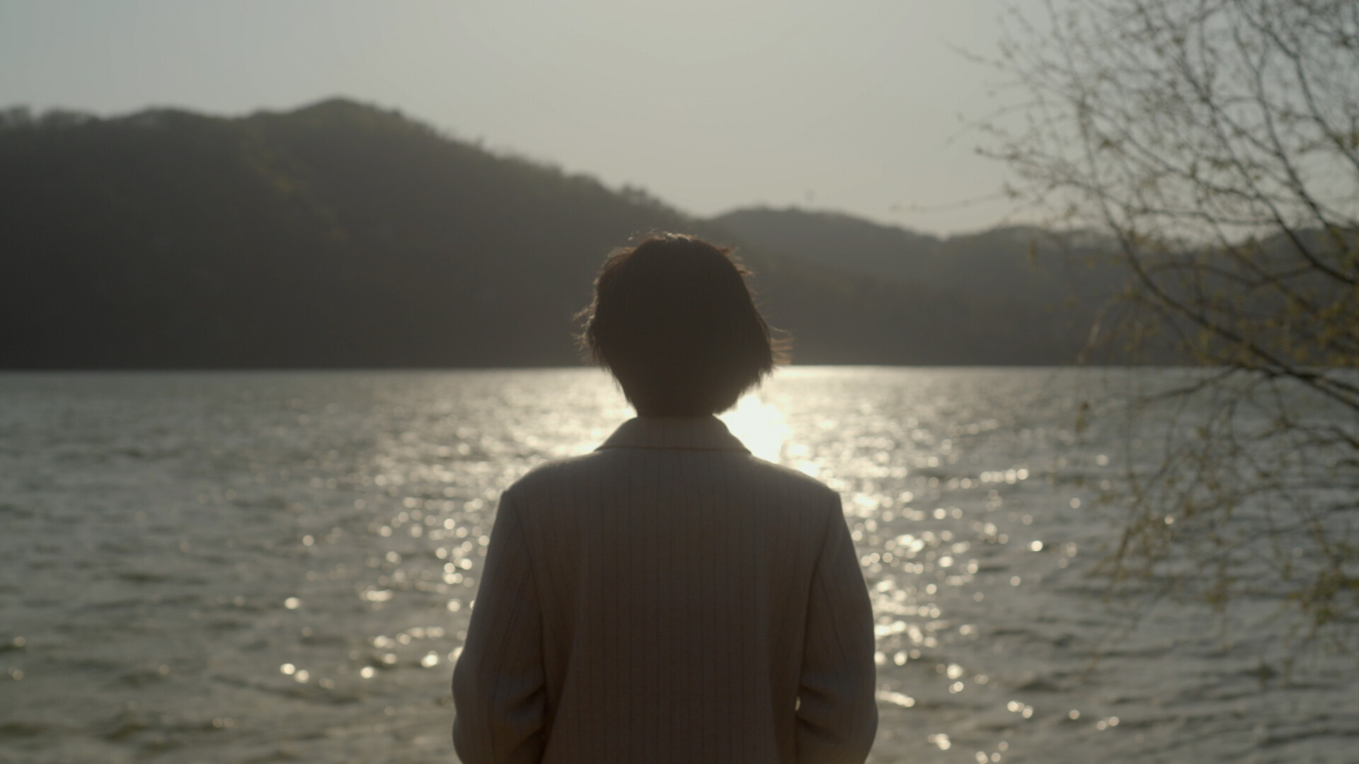 Semper Liber: always free - FilmFreeway