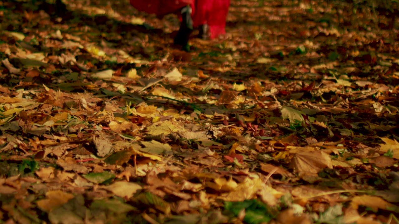 The Hunt - FilmFreeway