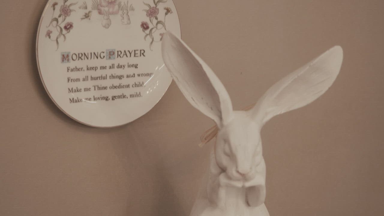 The Rabbit (Private) - FilmFreeway