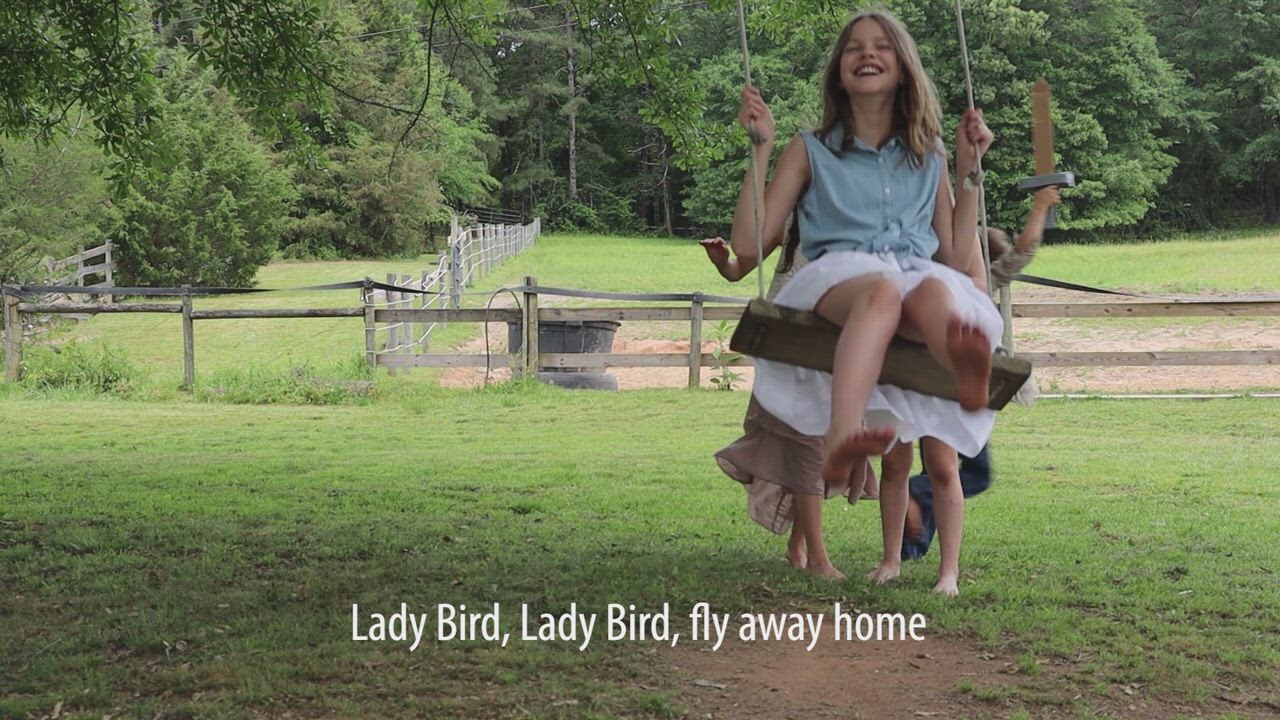 Lady Bird (subtitled) - FilmFreeway