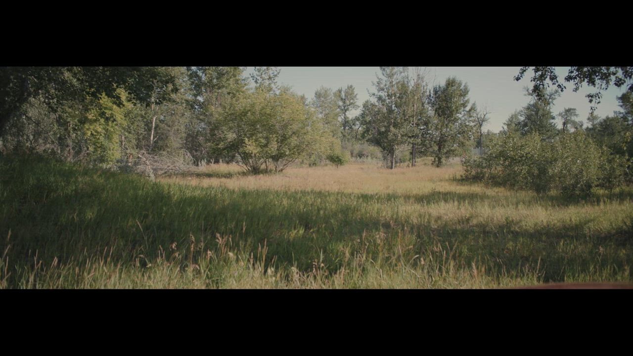 The Blue Warbler - FilmFreeway