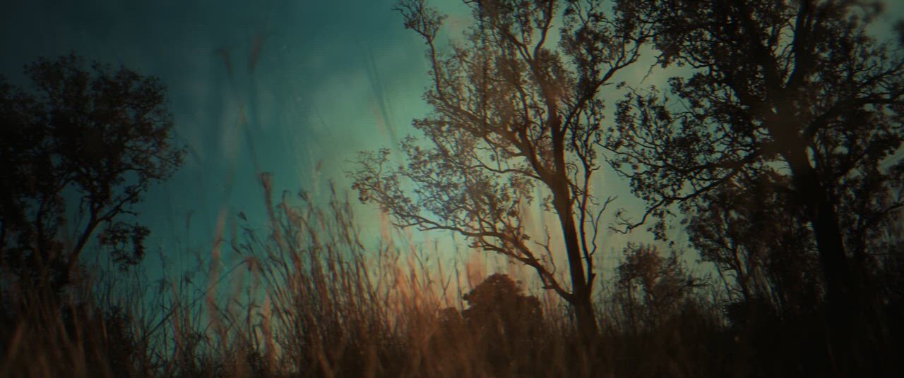 Loon - FilmFreeway