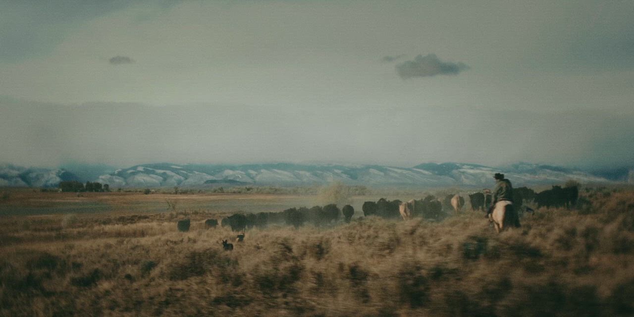 Yeehaw Boy - FilmFreeway