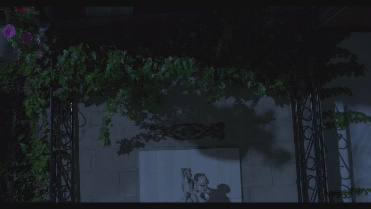 The Back Garden - FilmFreeway