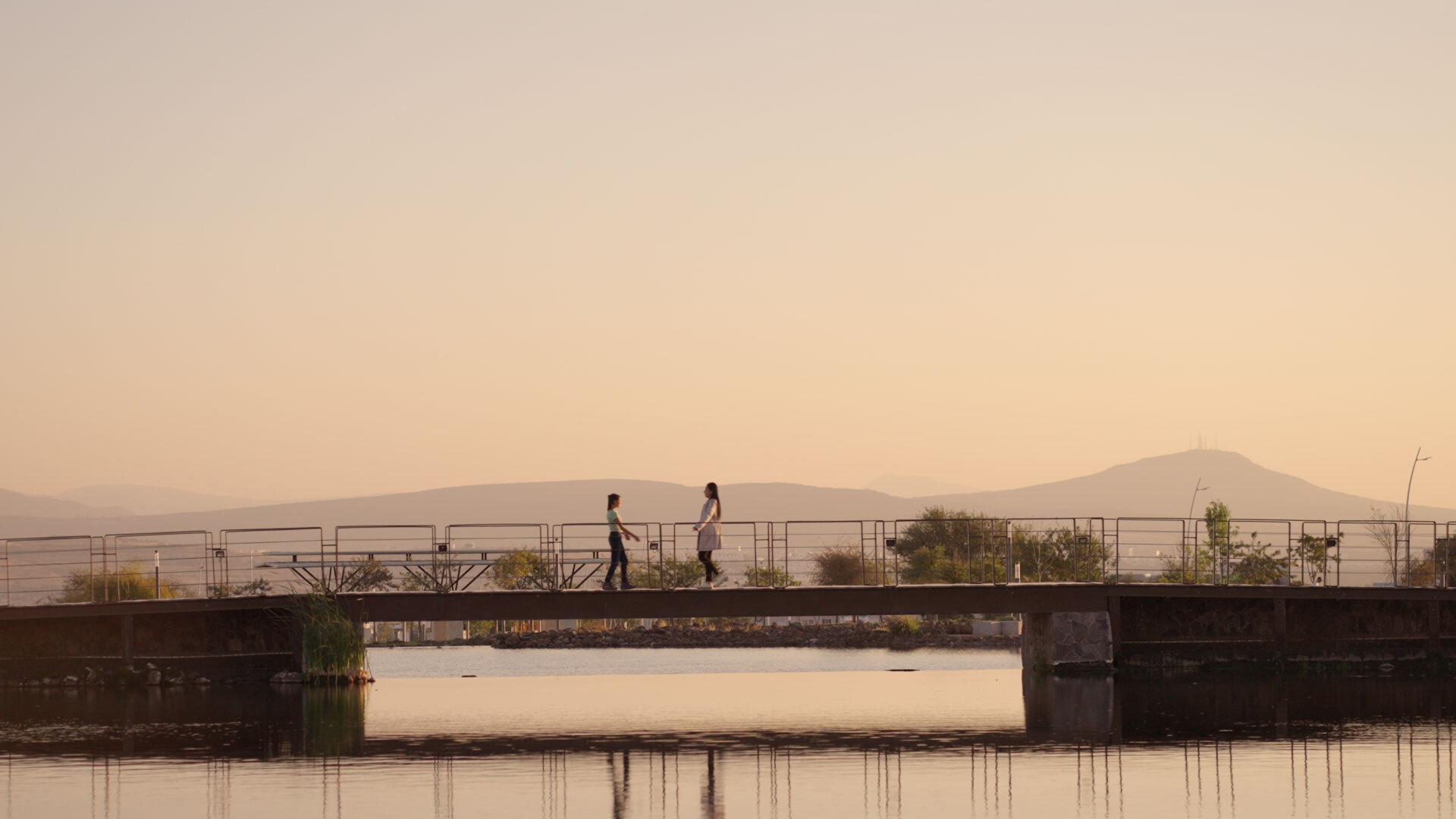 Singularity - FilmFreeway