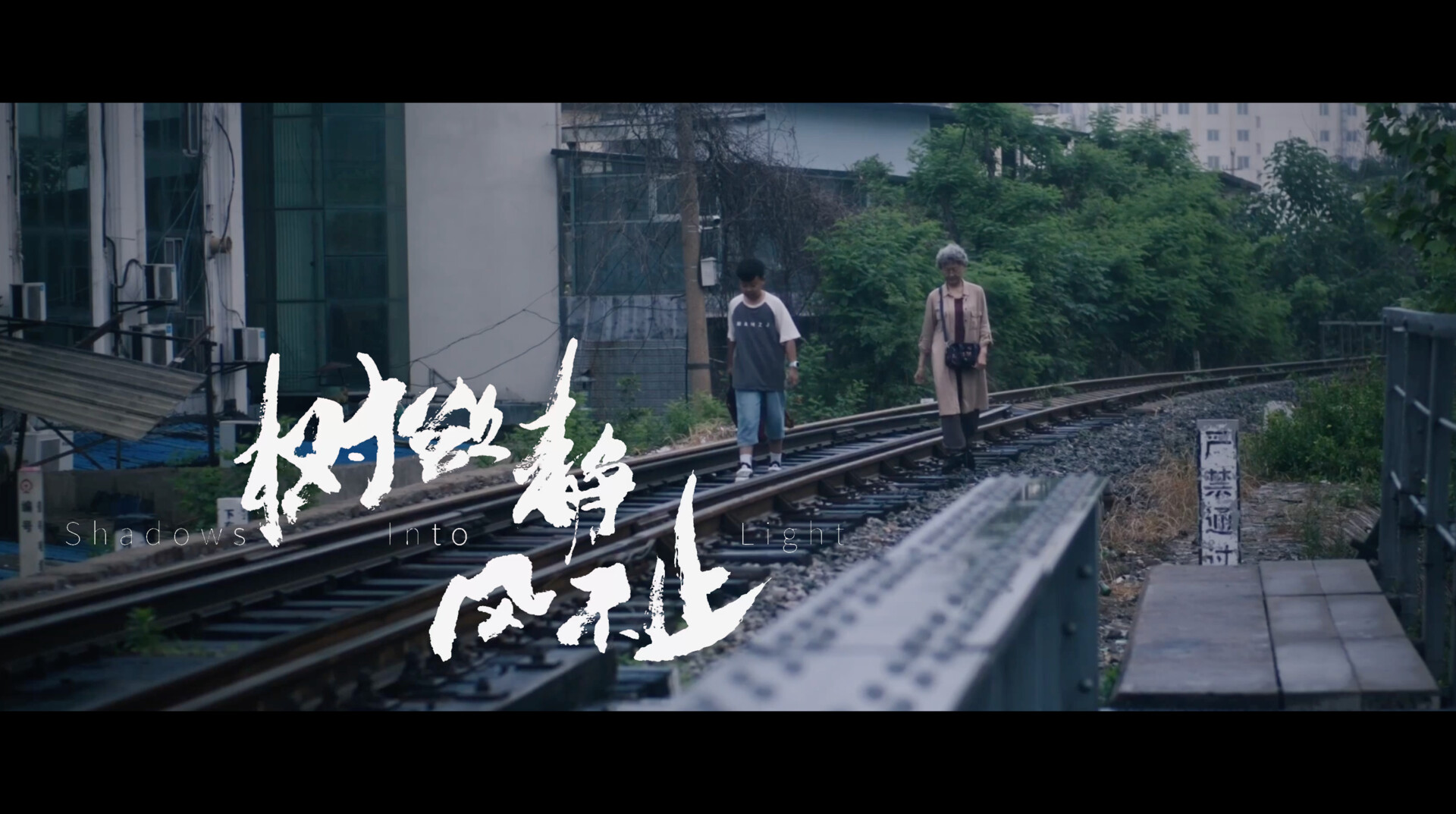 《Shadows Into Light》 - FilmFreeway