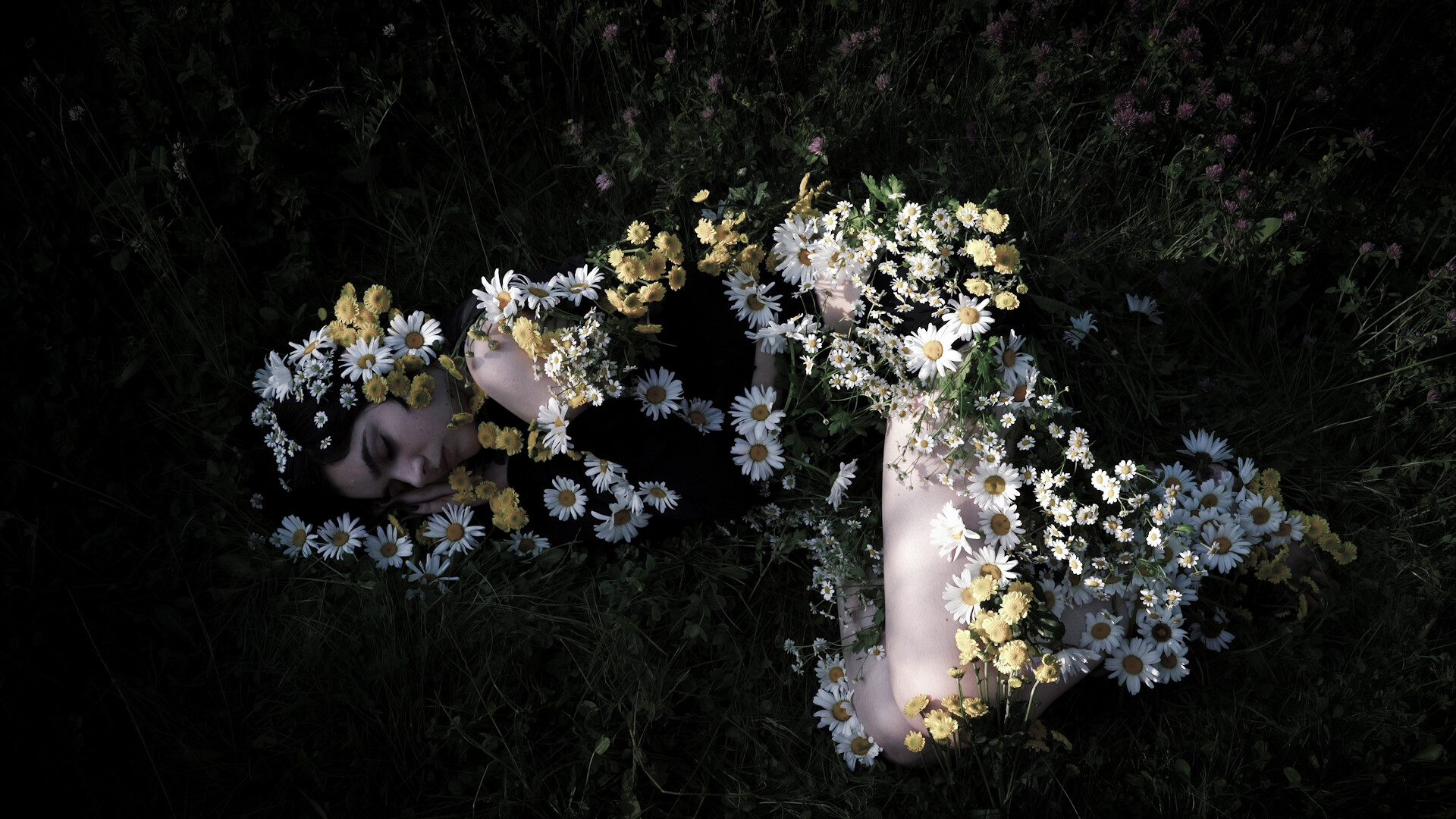 Narciss - FilmFreeway