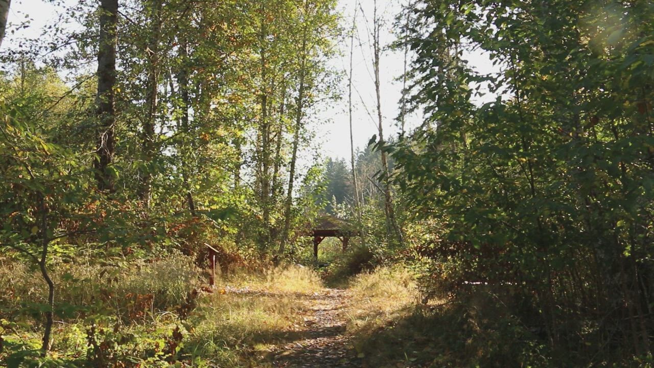 The Ballad of Ginger Goodwin - FilmFreeway