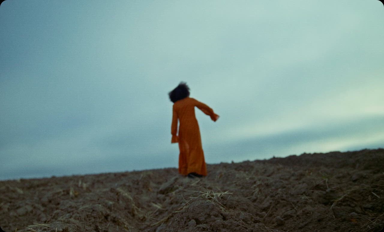 Roots - FilmFreeway
