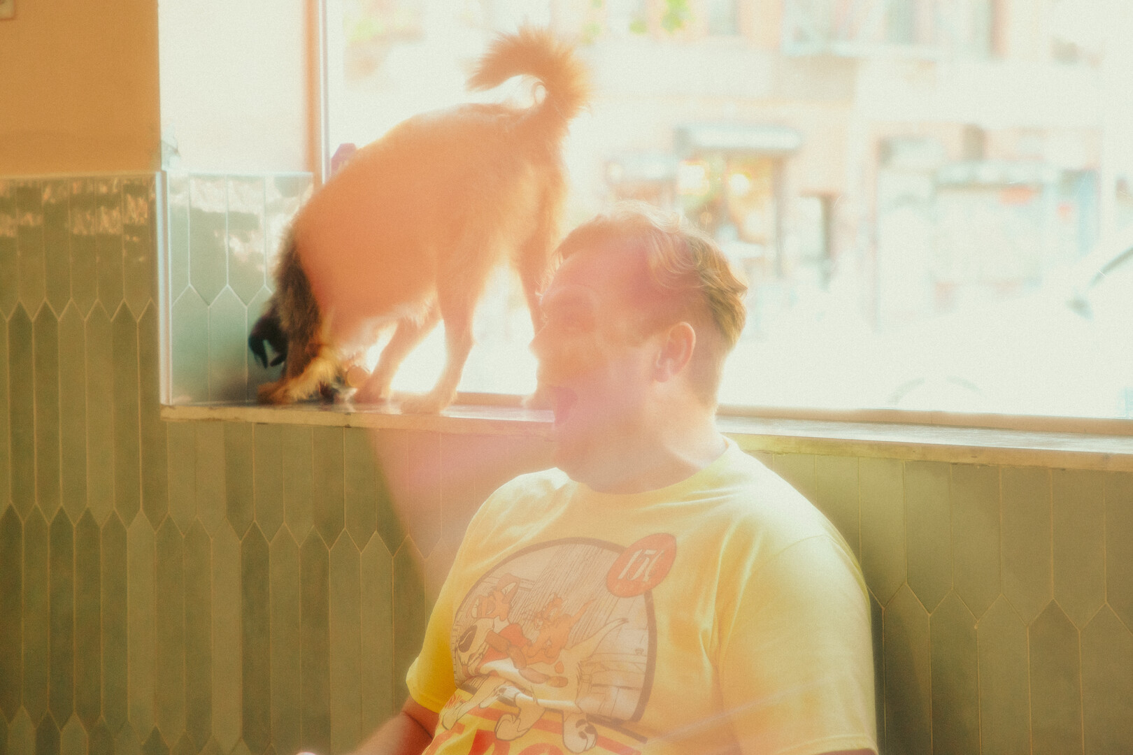 Danimal - FilmFreeway