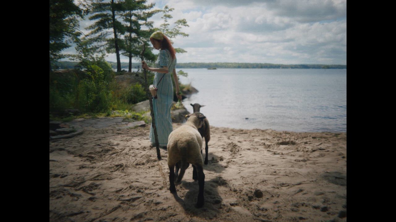 Merry Mary's Meadow - FilmFreeway