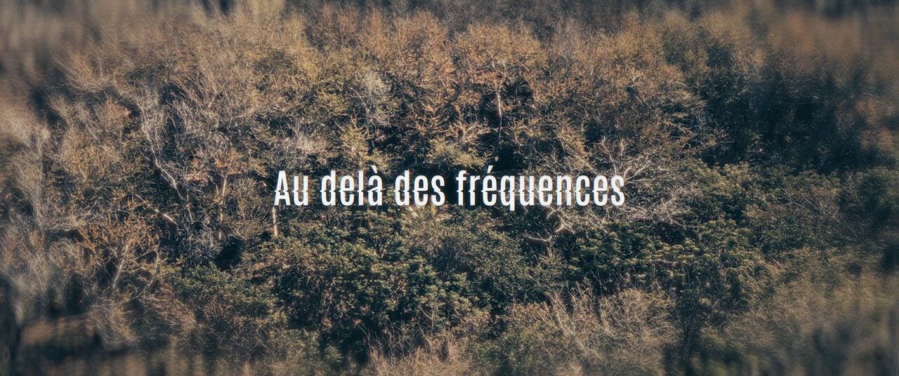 Beyond Frequencies - FilmFreeway