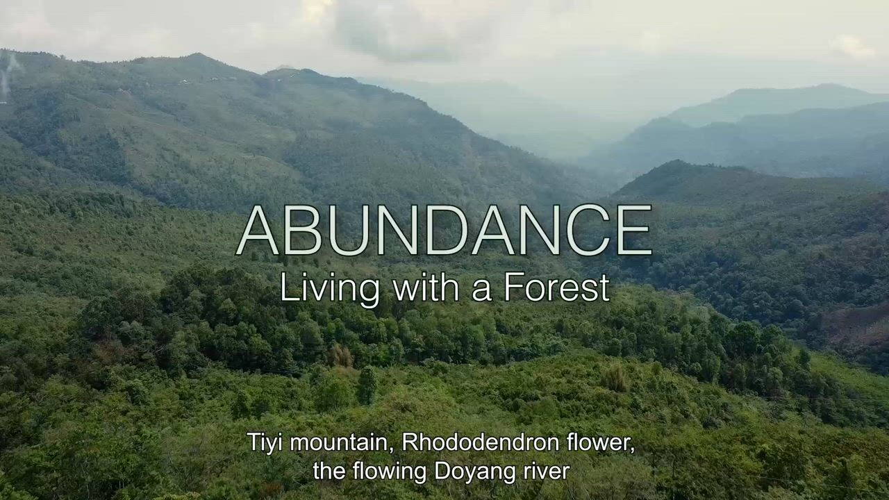 Abundance: Living with a Forest - FilmFreeway