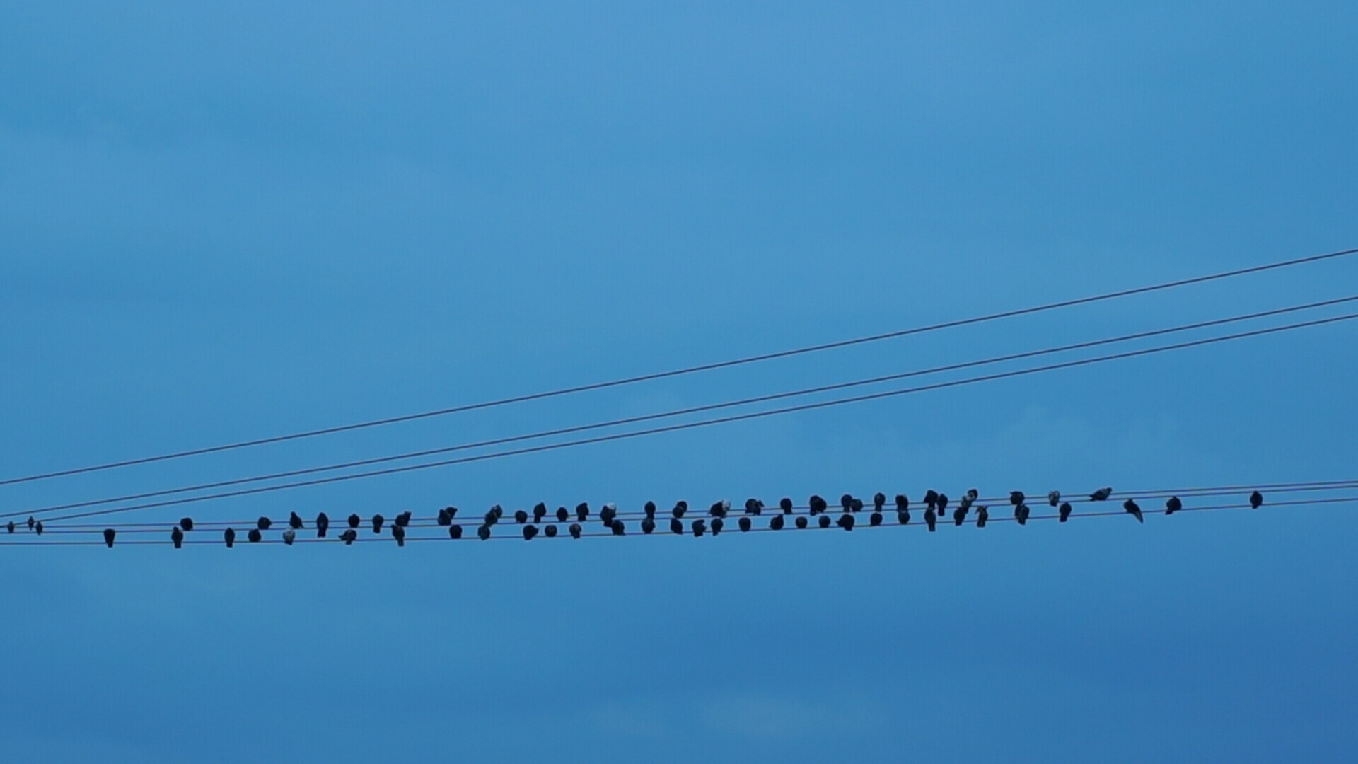 DANIEL - FilmFreeway