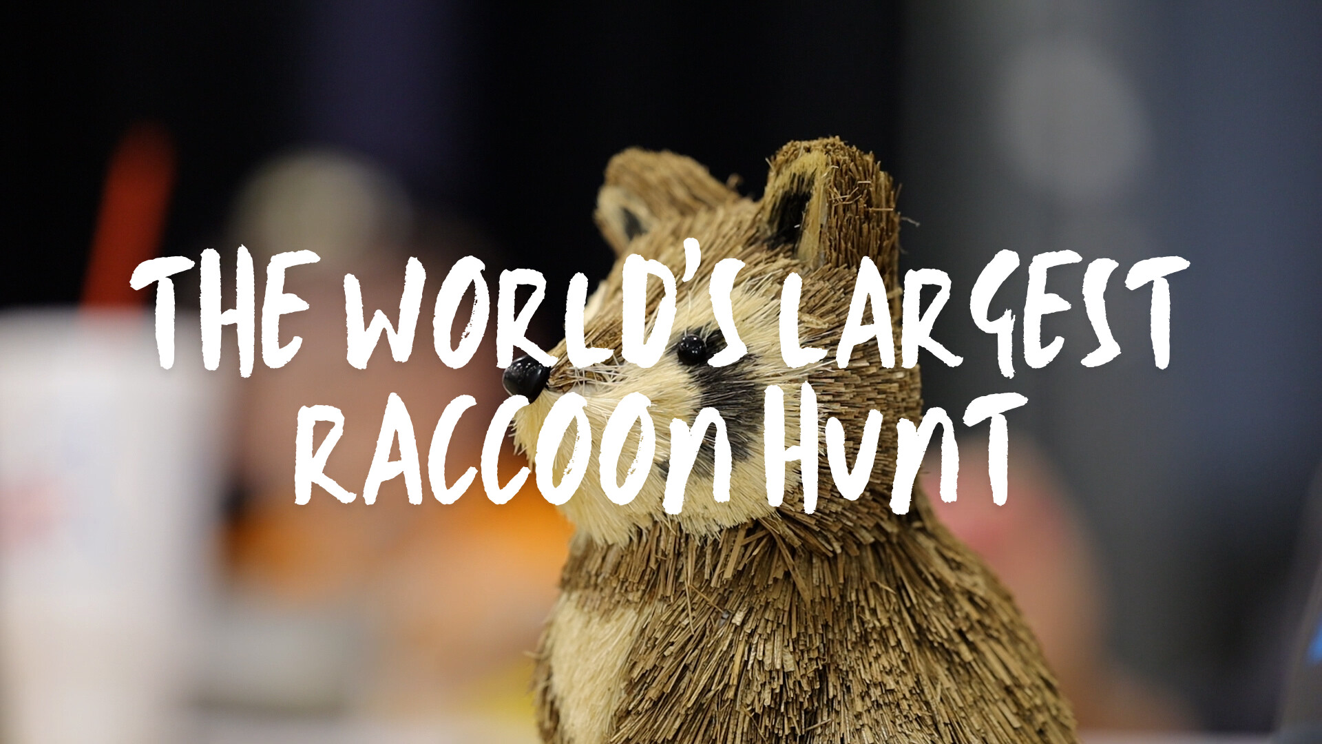 The World's Largest Raccoon Hunt - FilmFreeway