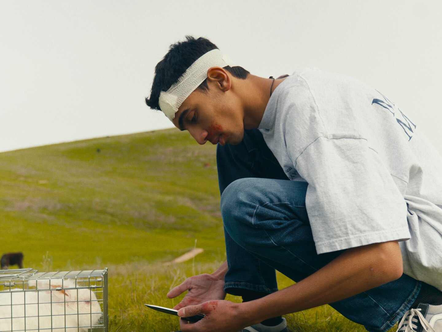 Practical Rabbit Hunting Strategies for the Modern Man - FilmFreeway