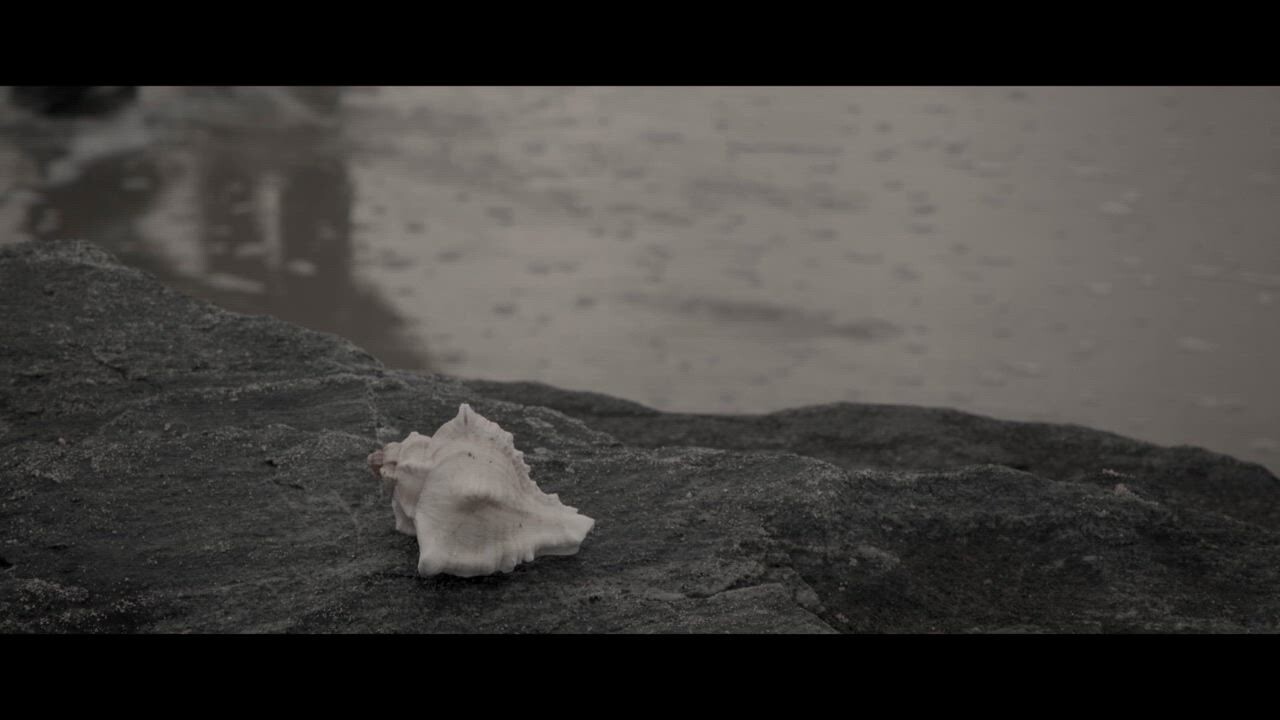 The Shell - FilmFreeway