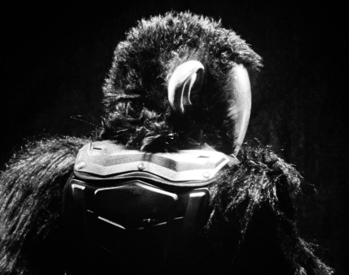 RAMGOG! - FilmFreeway